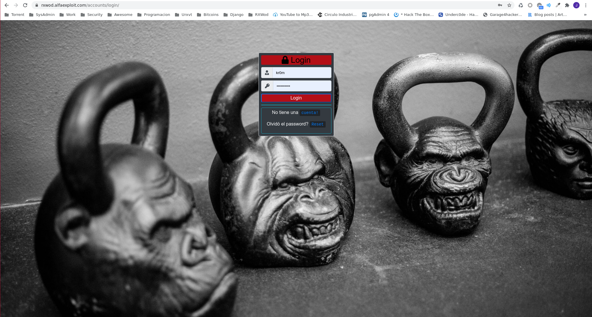 Django Final App Alfaexploit